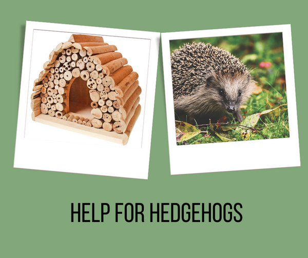 Help for Hedgehogs - We Are Fair Trade Ltd
